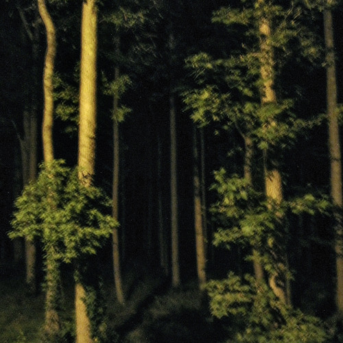 Stream aidanchapm4n and rszc - lets get lost by aidanchapm4n | Listen ...