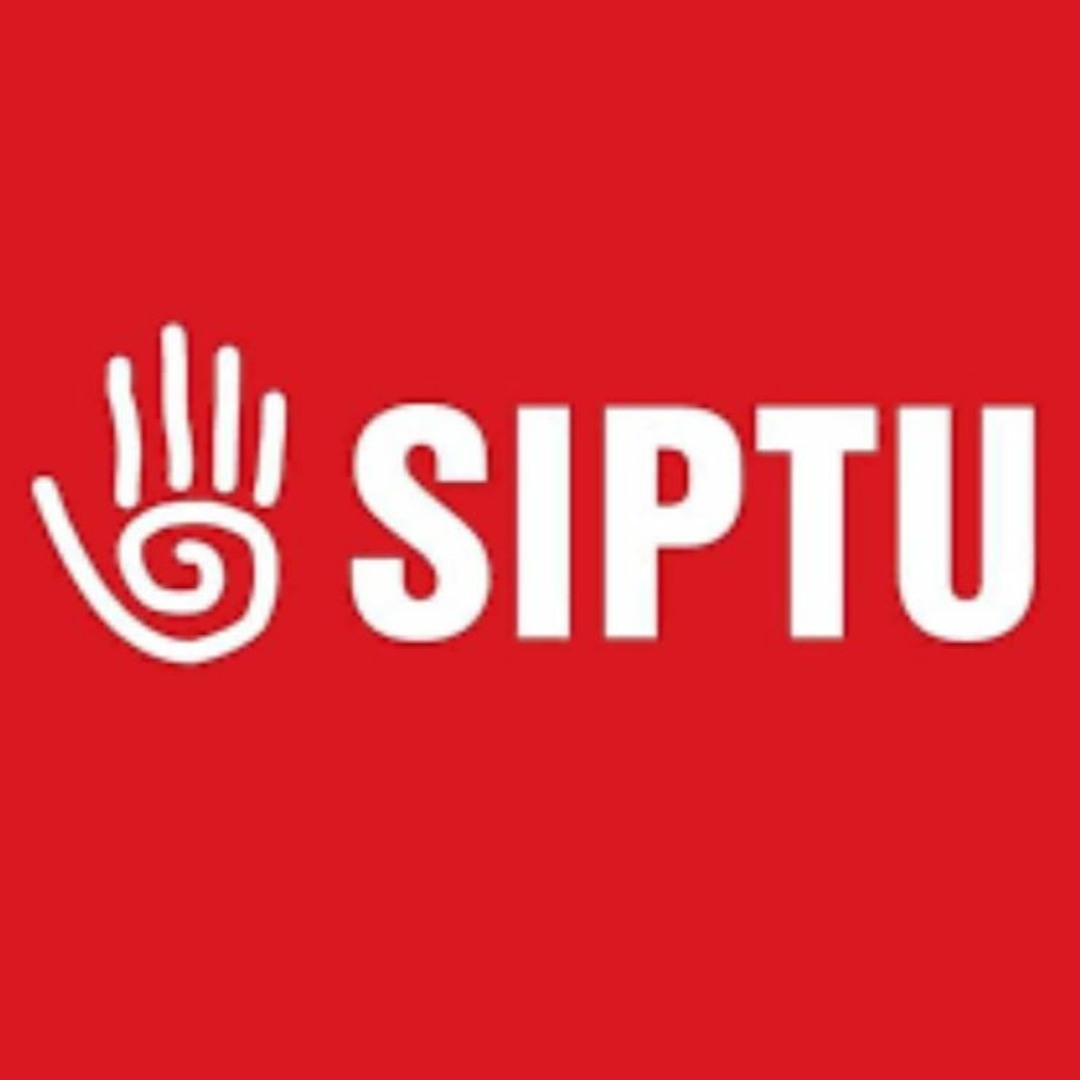 Stream The Way It Is with Sue Nunn: Denis Hynes on SIPTU conference ...
