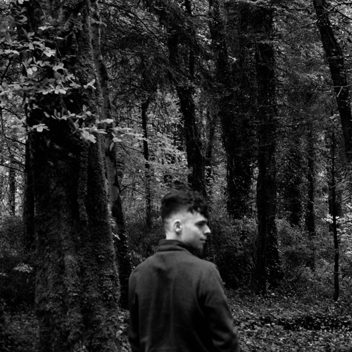 Stream Fly High by Shane Hagan | Listen online for free on SoundCloud