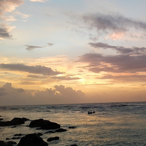 Stream Dis Udelo Mark Revlon Original Song_ (1).mp3 by Mark ferrao ...