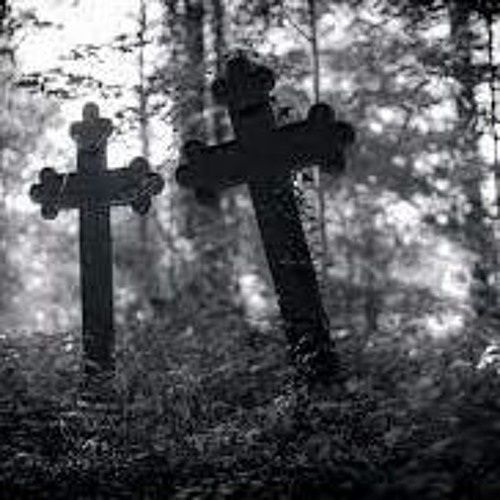 Stream Tim Beal | Listen to NEW SONGS playlist online for free on ...