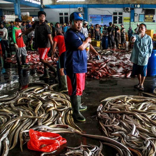 Stream BERLIBUR KE WBL JANGAN LUPA BELI IKAN DI TPI BRONDONG by alfian ... Stream BERLIBUR KE WBL JANGAN LUPA BELI IKAN DI TPI BRONDONG by alfian ...