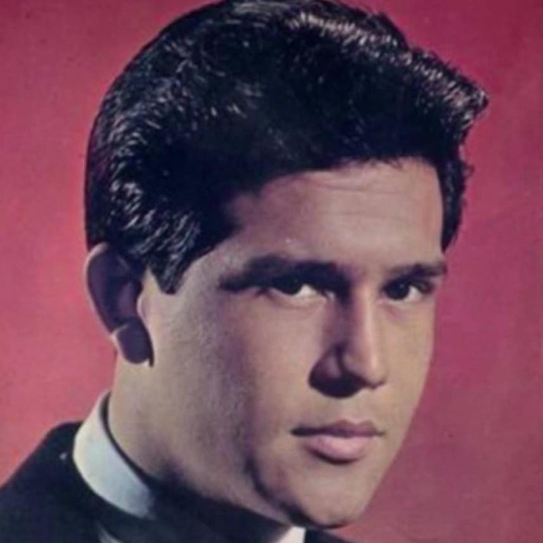 Stream Leo Dan mix by Elmer Homero by Elmer Homero | Listen online for ...