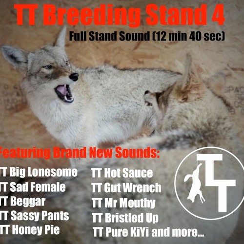 Stream Tt Breeding Stand 4 By Tony Tebbe Listen Online For Free On