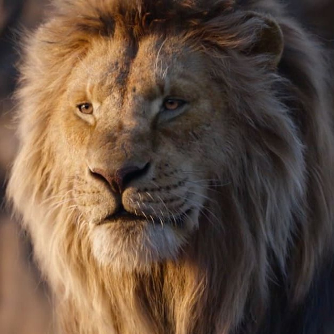 Stream Mufasa: The Lion King - TRAILER MUSIC by Ayden Rogers Music ...