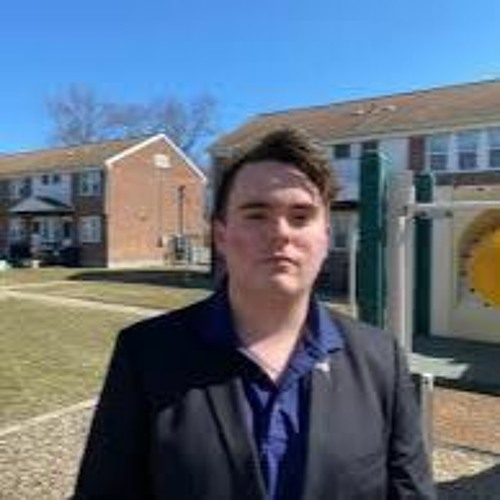 Stream Cohoes Residents Plant Sunflowers Across City to Draw Attention ...