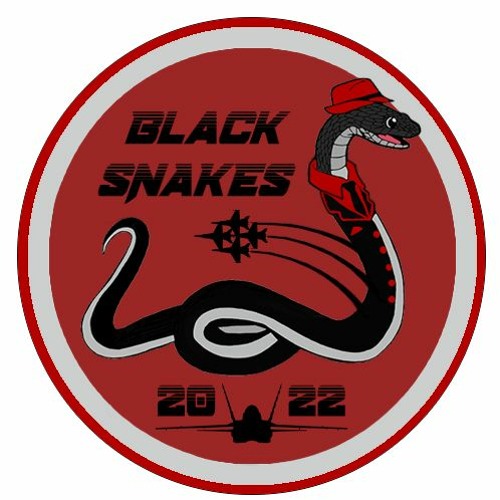 Stream Team Black Snakes Demo Team Flight Lead by dylan rowlee | Listen ...