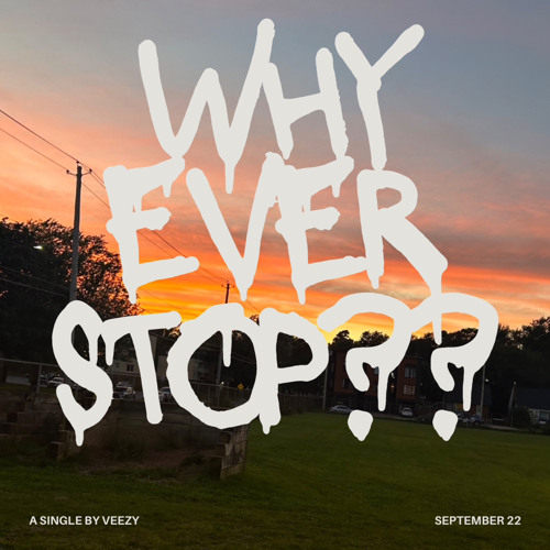 Stream Why Ever Stop? by Veezy | Listen online for free on SoundCloud