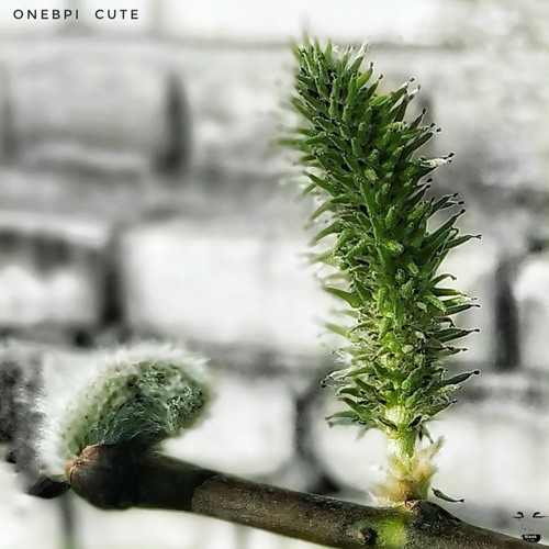 Stream Onebpi Cute By Onebpi Listen Online For Free On Soundcloud