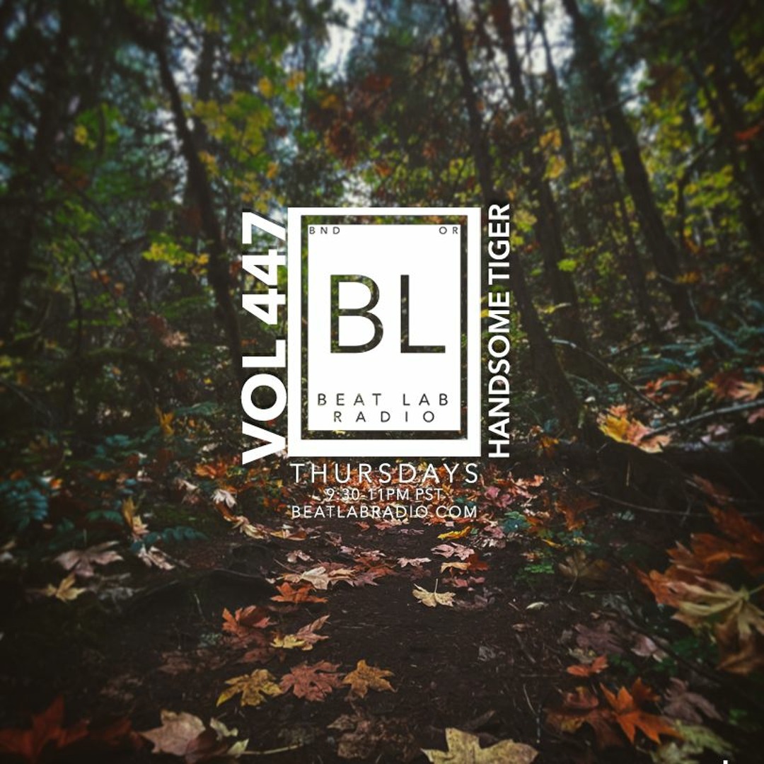 Stream Handsome Tiger - Exclusive Mix - Beat Lab Radio 447 by Beat Lab ...