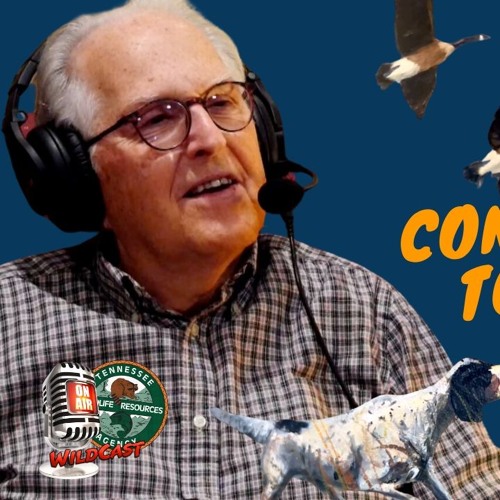 Stream episode TW 388 - Conservation To Canvas by Tennessee WildCast ...