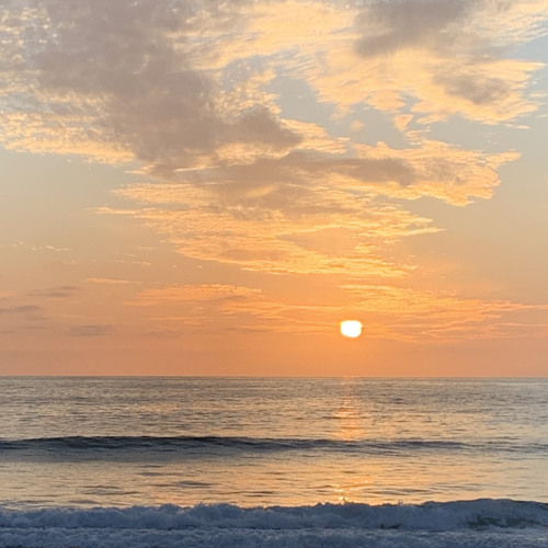 Stream Go! (prod. 909memphis) by dank mob | Listen online for free on ...