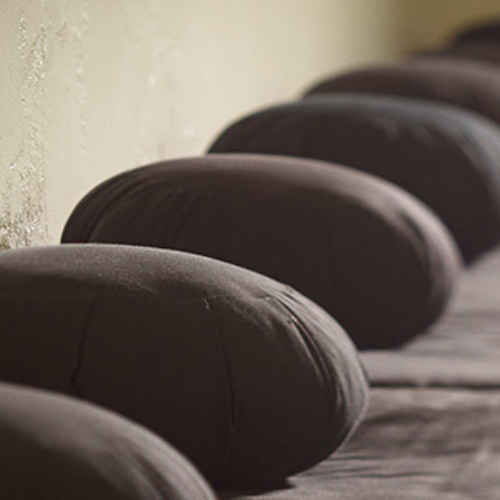 Stream How do We Deal With Gain and Loss by North Carolina Zen Center ...