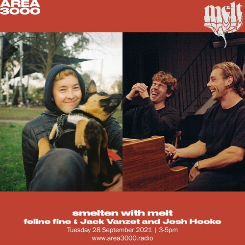 Stream smelten w. melt ft. feline fine and Josh Hooke & Jack Vanzet - 28 September 2021 by Area ...