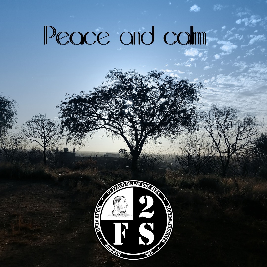 Stream Peace And Calm - Hip-hop, Rap Instrumental 2022 by 2fs | Listen ...
