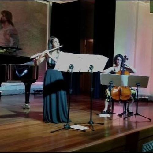 Stream Heitor Villa-Lobos The Jet Whistle, movement III by Ana Thereza ...