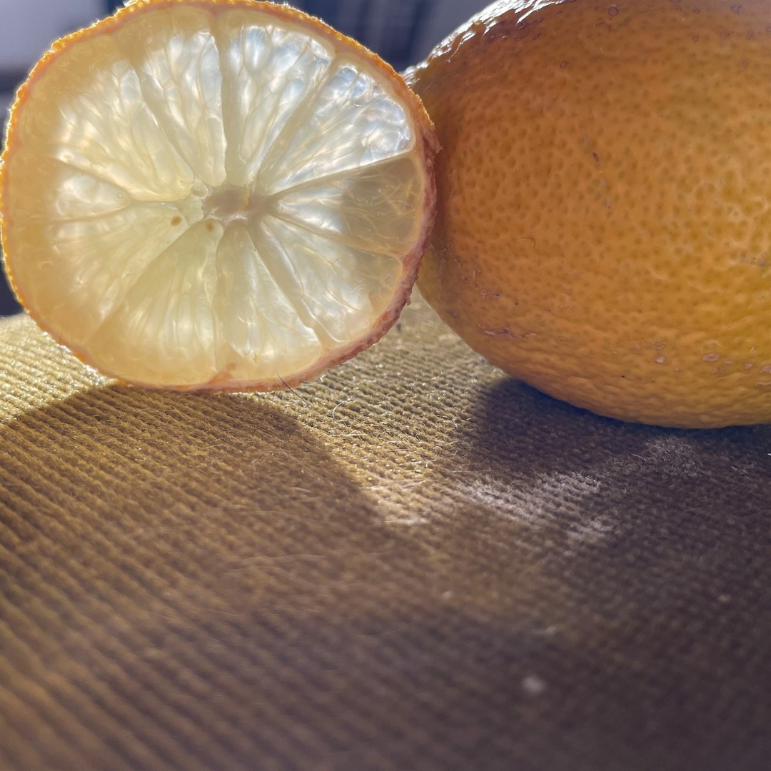 Stream Pisco Sours by ARLISTON | Listen online for free on SoundCloud