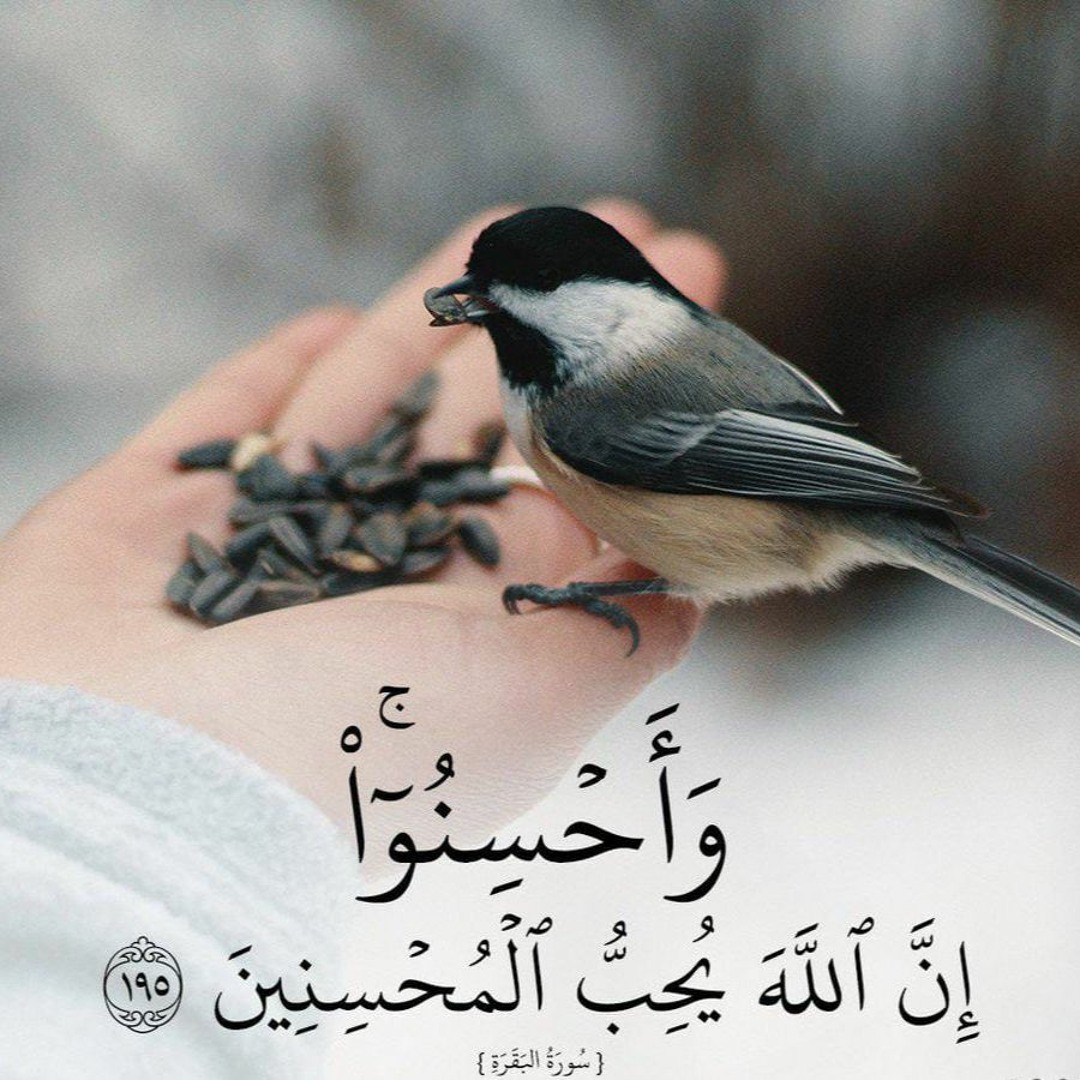 Stream Allah loabivevodiganavaa sifathah (As_Sheikh Mohamed Afzal) by ...