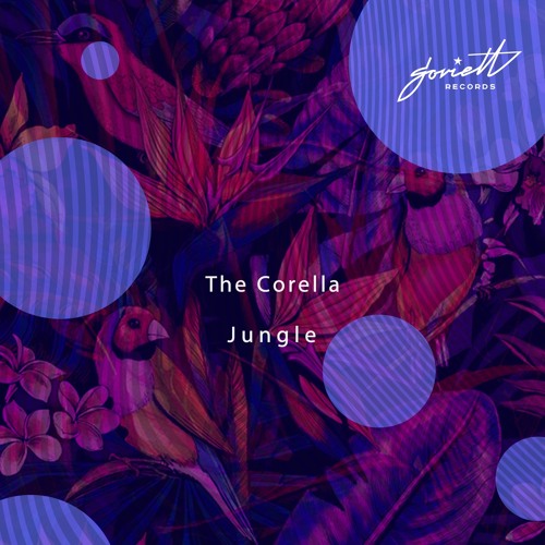 Stream Me by The Corella | Listen online for free on SoundCloud