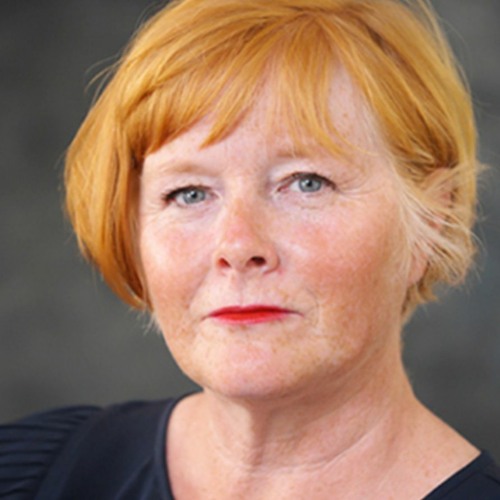 Stream VN Times Podcast, Ep 9: Andrea Jeffery on Schedule Three by Vet ...