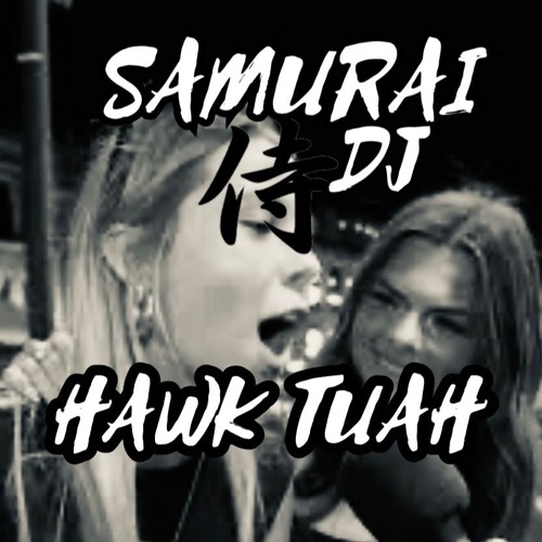 Stream SAMURAI DJ. HAWK TUAH. by SAMURAI DJ™️ | Listen online for free on SoundCloud
