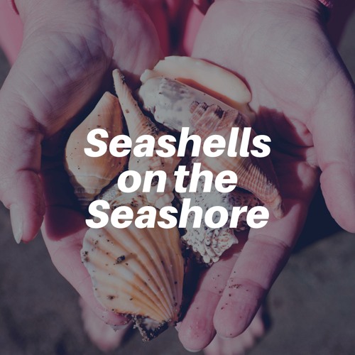 Stream Sea Waves Sounds | Listen to Seashells on the Seashore playlist ...