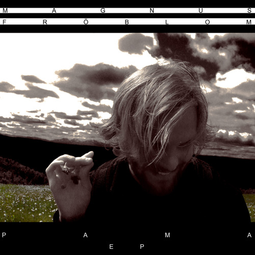 Stream Magnus Fröblom | Listen to Pama - EP playlist online for free on ...