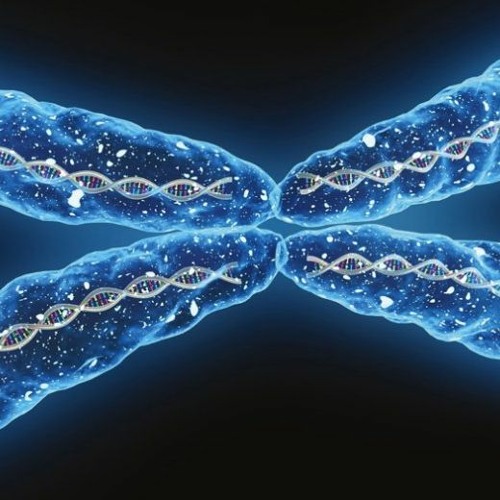 Stream Teoría de Sutton y Morgan by Roy cabral Rivera | Listen online ...