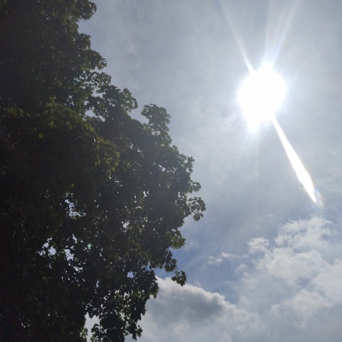 Stream I'm From Where (Prod. Jake Angel Beats) by Slxndxr | Listen ...