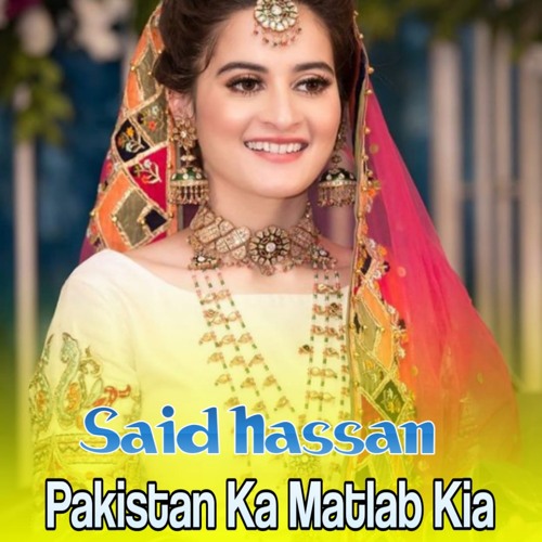 Stream Said Hassan | Listen to Pakistan Ka Matlab Kia playlist online ...