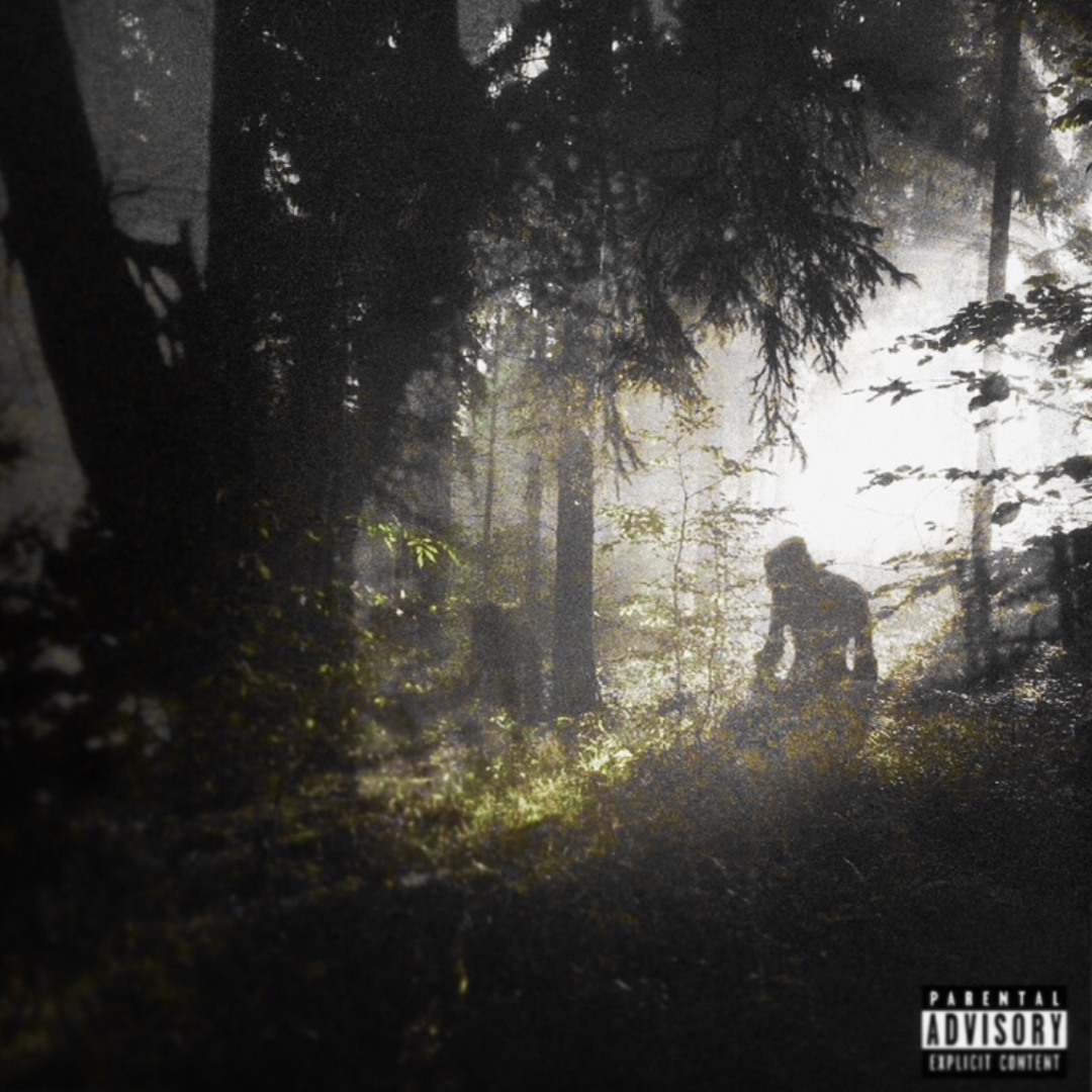 Stream XXXTENTACION - Glass House (CONCEPT AUDIO) by ANTIHERO | Listen ...