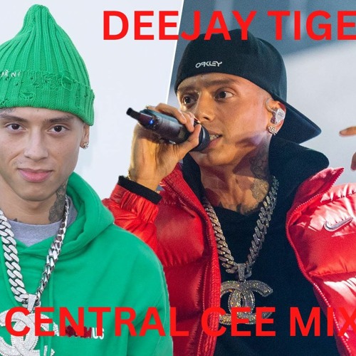 Stream NEW CENTRAL CEE MIX 2023 DEEJAY TIGER by Dj Tiger25 | Listen ...