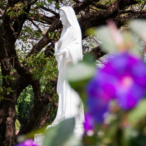 Stream Ranná modlitba - SOBOTA by JosephSignal | Listen online for free ...