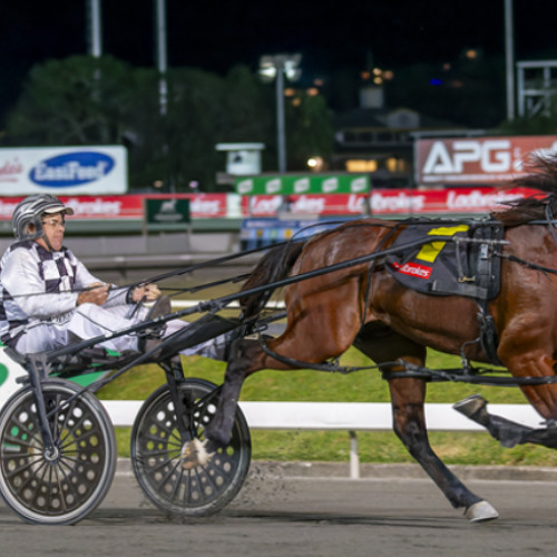 Stream Newcastle Mile and Paleface Adios Preview by Racing & Sports ...