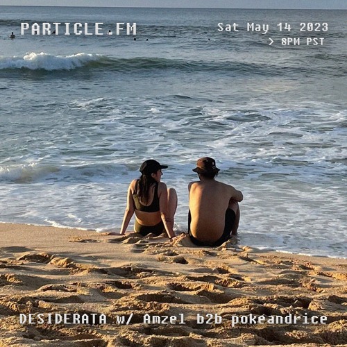 Stream DESIDERATA w/ Amzel b2b pokeandrice - May 14th 2023 by Particle ...