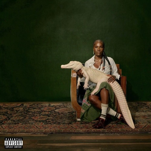 Stream Megan Thee Stallion & Doechii - CRANK THAT (Official Visualiser ...