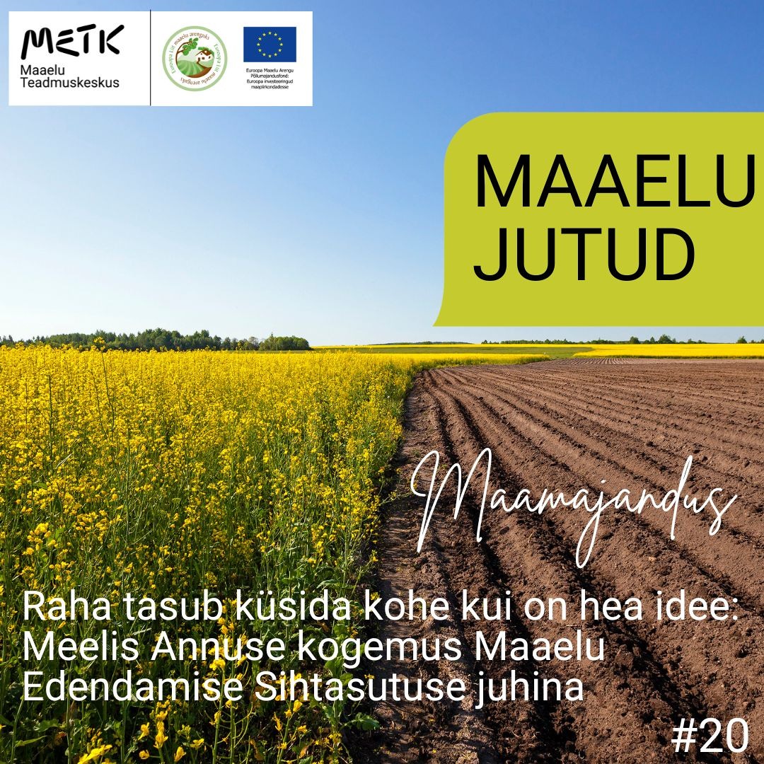 Stream episode Maamajandus #20 - Raha tasub küsida kohe kui on hea idee ...