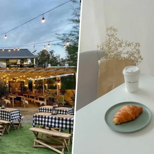 Stream Planning a Weekend Gala with the Besties? Check Out these Cafes ...