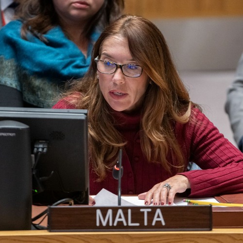 Stream ‘Everyone was asking about a ceasefire’: Malta’s UN ambassador ...