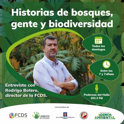 Stream Entrevista Rodrigo Botero FCDS by Magazín Agenda Ambiental ...