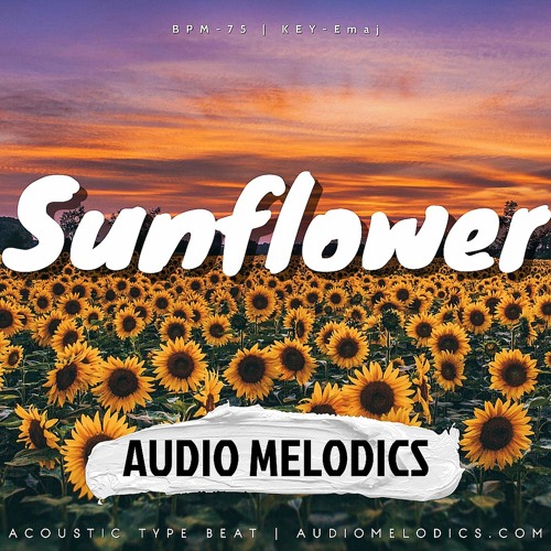 Stream Sunflower - [Acoustic x Pop] by Audio Melodics | Listen online ...