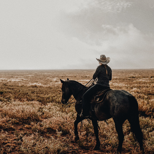 Stream Down Home Girl by Antwane Tyler | Listen online for free on ...