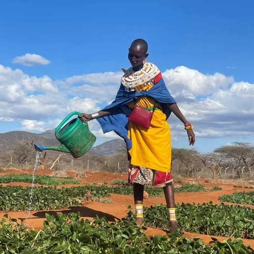 Stream Women Rising with Resilience – The Story of Idalalekutuk Self ...