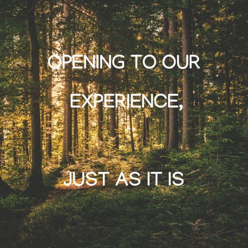 Stream Open Awareness Meditation by Zoe Pither Wellbeing | Listen ...