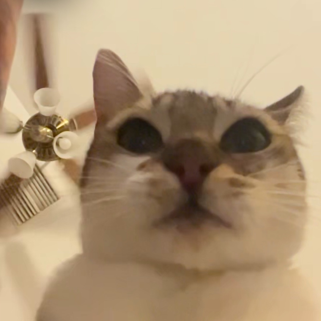 Stream Type Beat 1 by 2blunt | Listen online for free on SoundCloud