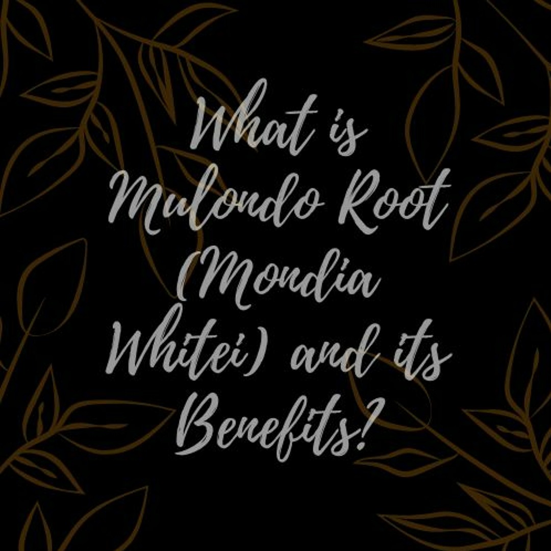Stream What Is Mulondo Root (Mondia Whitei) And Its Benefits? by LIV ...