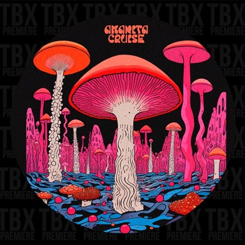 Stream Premiere: SEMOO - Phasing Issue [Amanita Cruise] by TBX Premiere ...