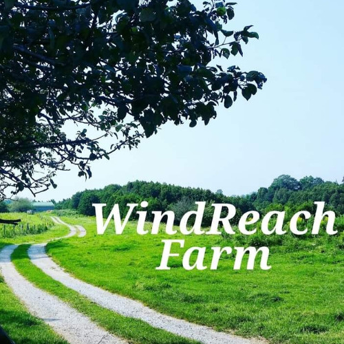 Stream Swing Into Spring at Windreach cuz the sheep need a haircut by ...