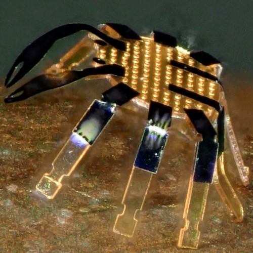 Stream episode Clip: John Rogers "Multimaterial, Architecture, 3D ...