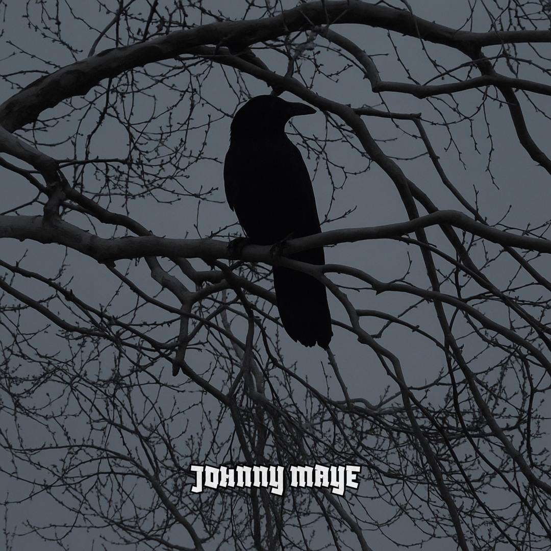 Stream SNACO | Listen to Johnny Maye playlist online for free on SoundCloud